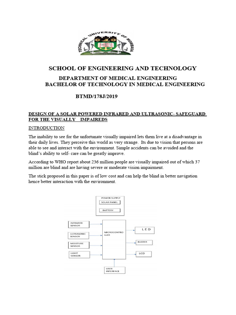 Project Summary Paper | PDF | Visual Impairment | Ultrasound