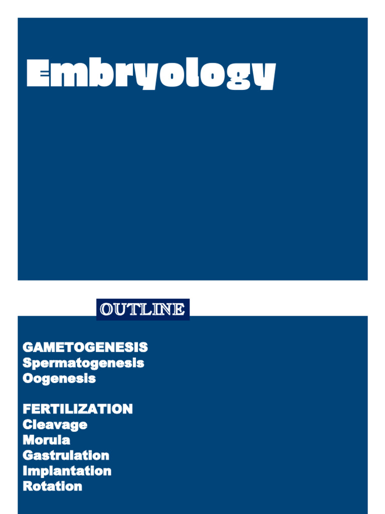 EMBRYOLOGY: Gametogenesis, Fertilization in Details. | PDF | Self-Improvement | Wellness