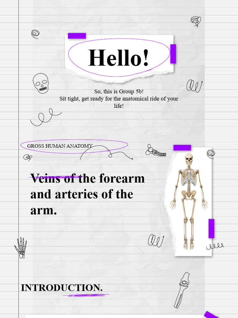 Anatomy: Veins of The Forearm and Arteries of The Arm. | PDF | Elbow | Arm
