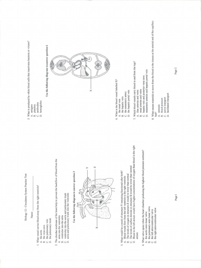 Circulatory System Practice Test 2lt5cu7 | PDF