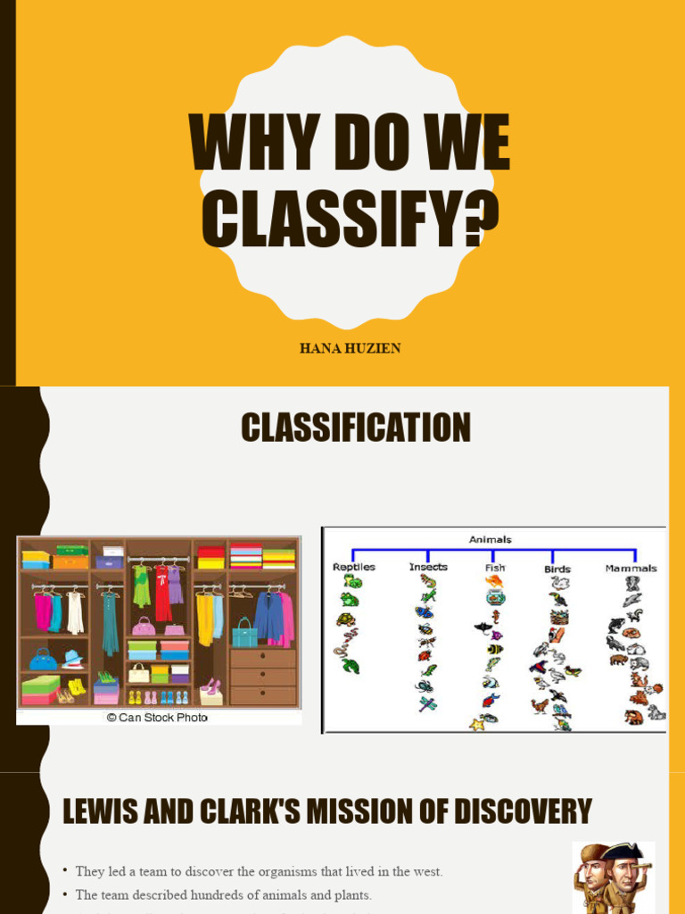 Why do we classify | PDF
