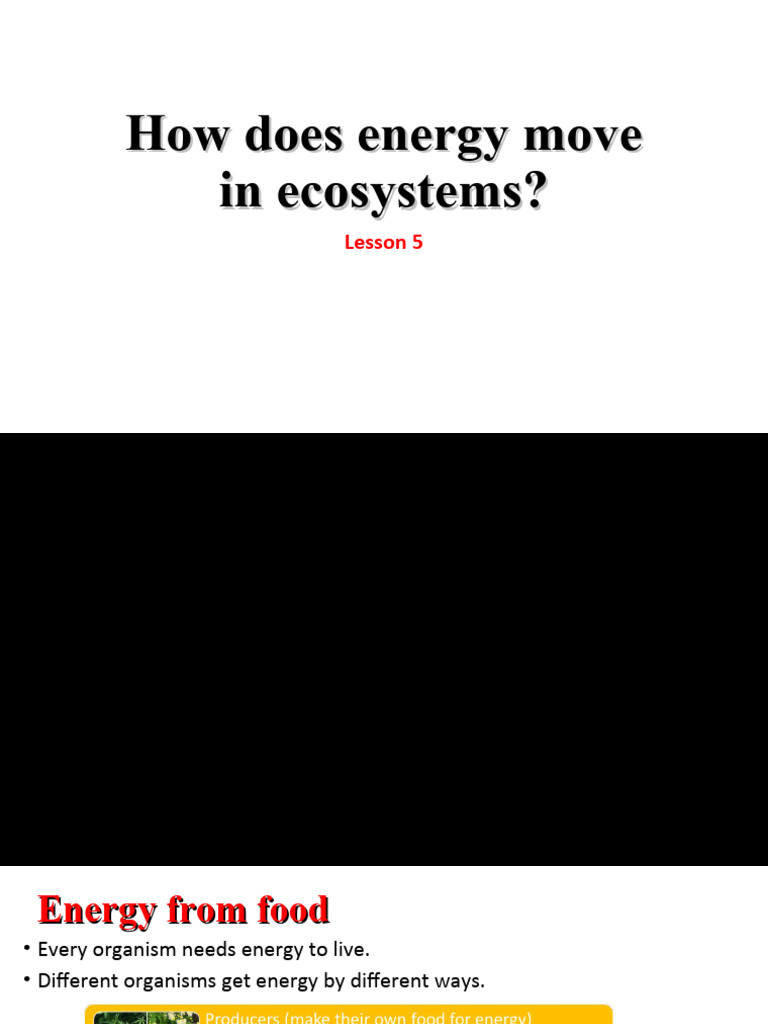 How Does Energy Move in Ecosystems | PDF | Wellness