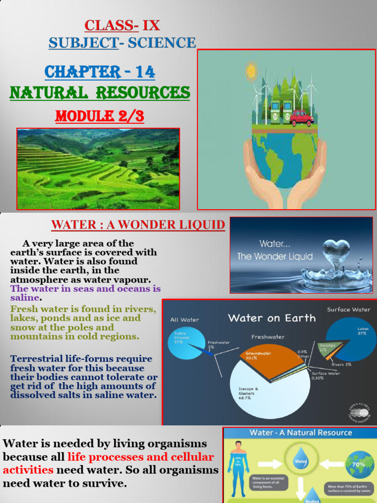 Water and Soil Resources for Class 9 | PDF | Soil | Water Pollution