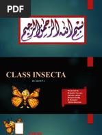 Tagmosis | PDF | Insects | Arthropodology