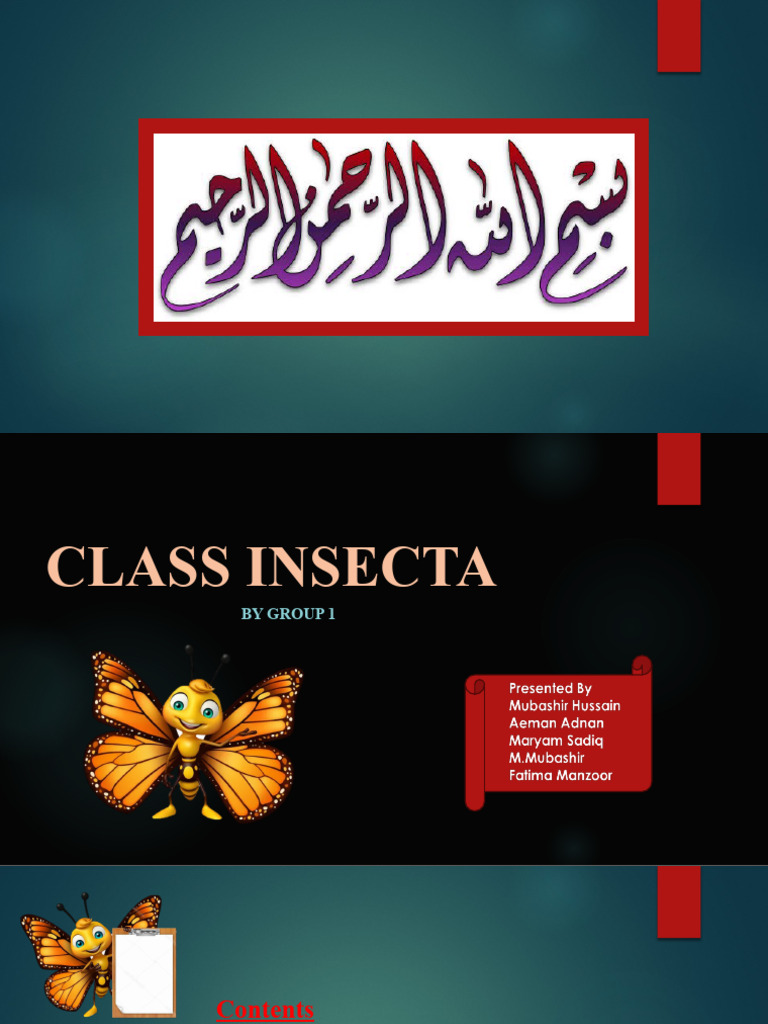 Class Insecta Zoology Presetation | PDF | Eye | Nervous System