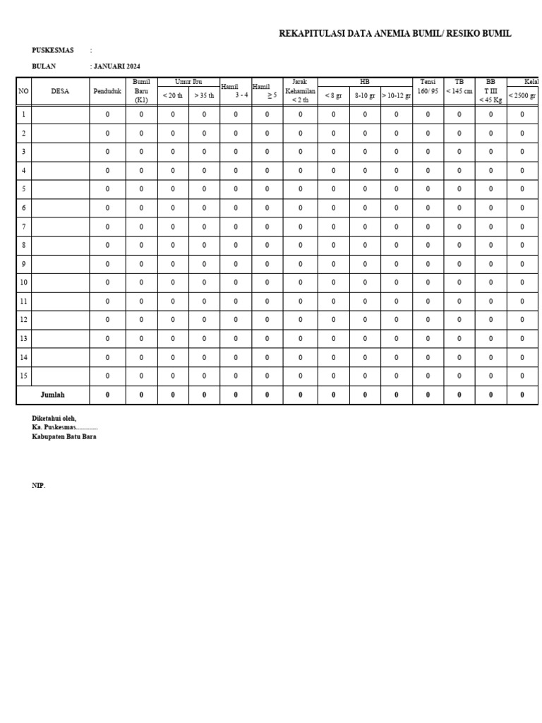 Anemia Bumil Data Recap Jan-Jun 2024 | PDF