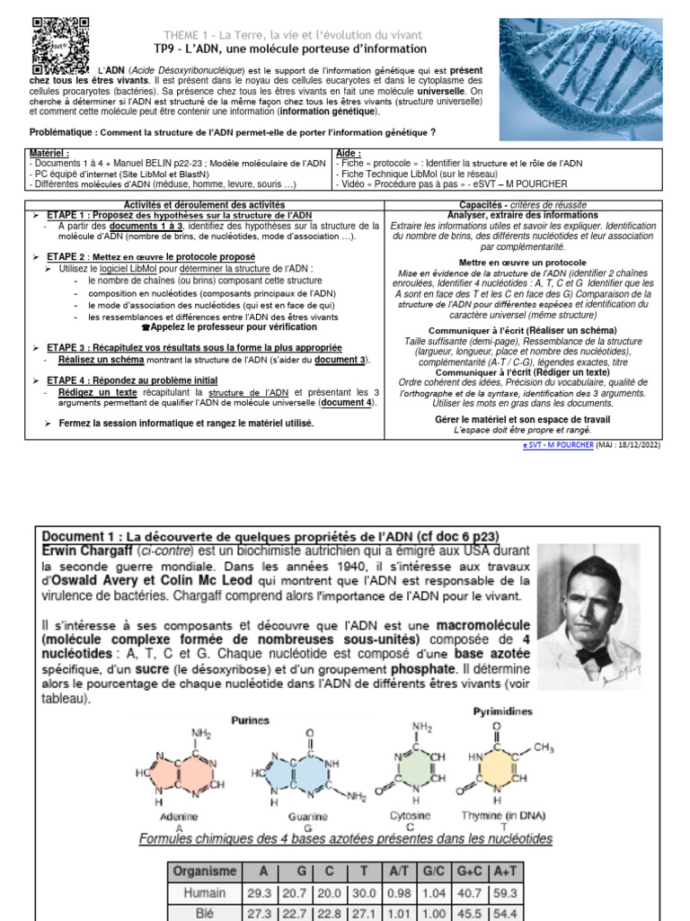 TP9 Adn | PDF