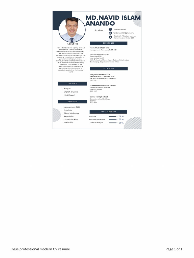 Blue Professional Modern CV Resume | PDF