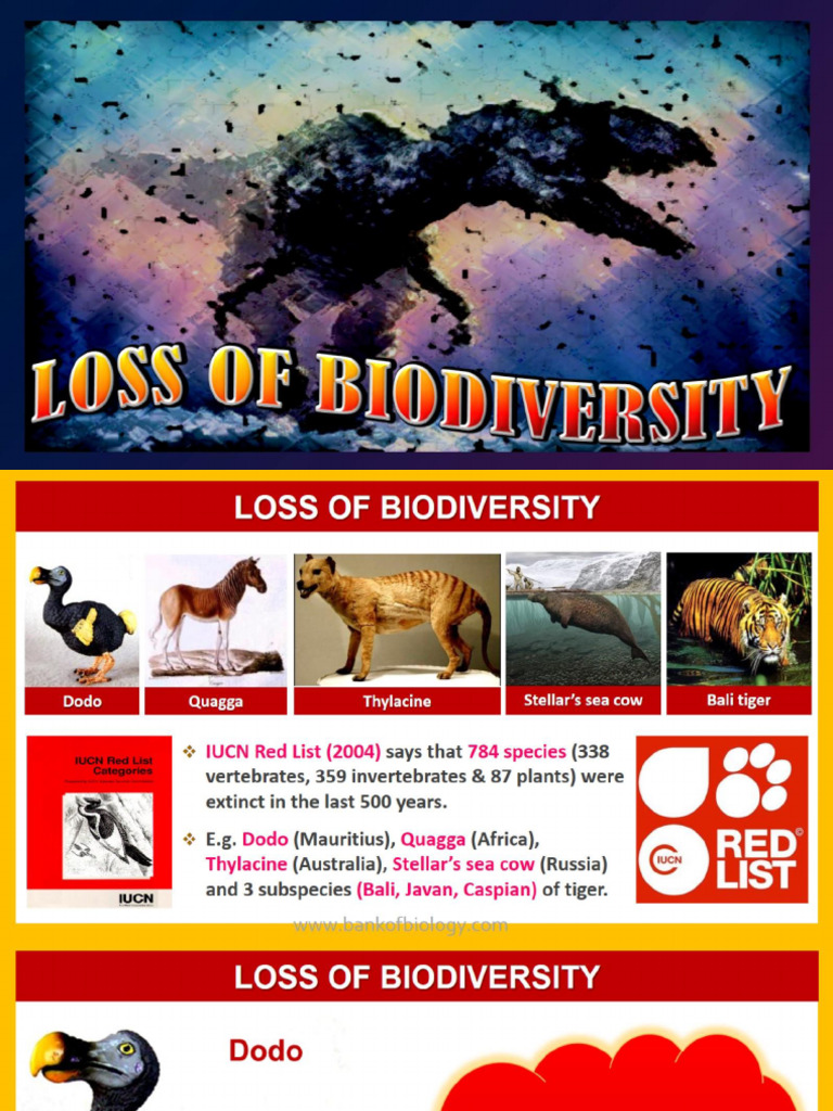 15 Biodiversity N Conservation PPT Part 2 | PDF