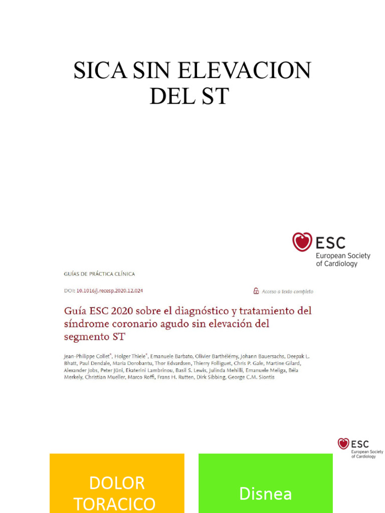 Sica Sin Elevacion Del ST - 073924 | PDF