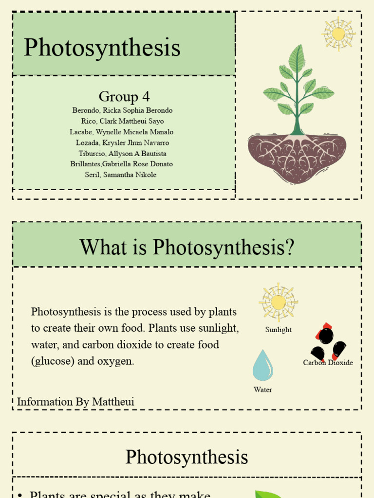 Photosynthesis Presentation by Group 4 | PDF | Photosynthesis ...