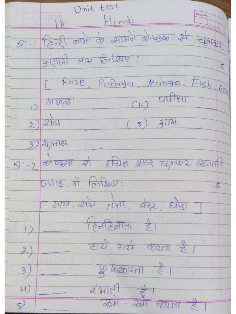 Unit Test std-4 Hindi | PDF