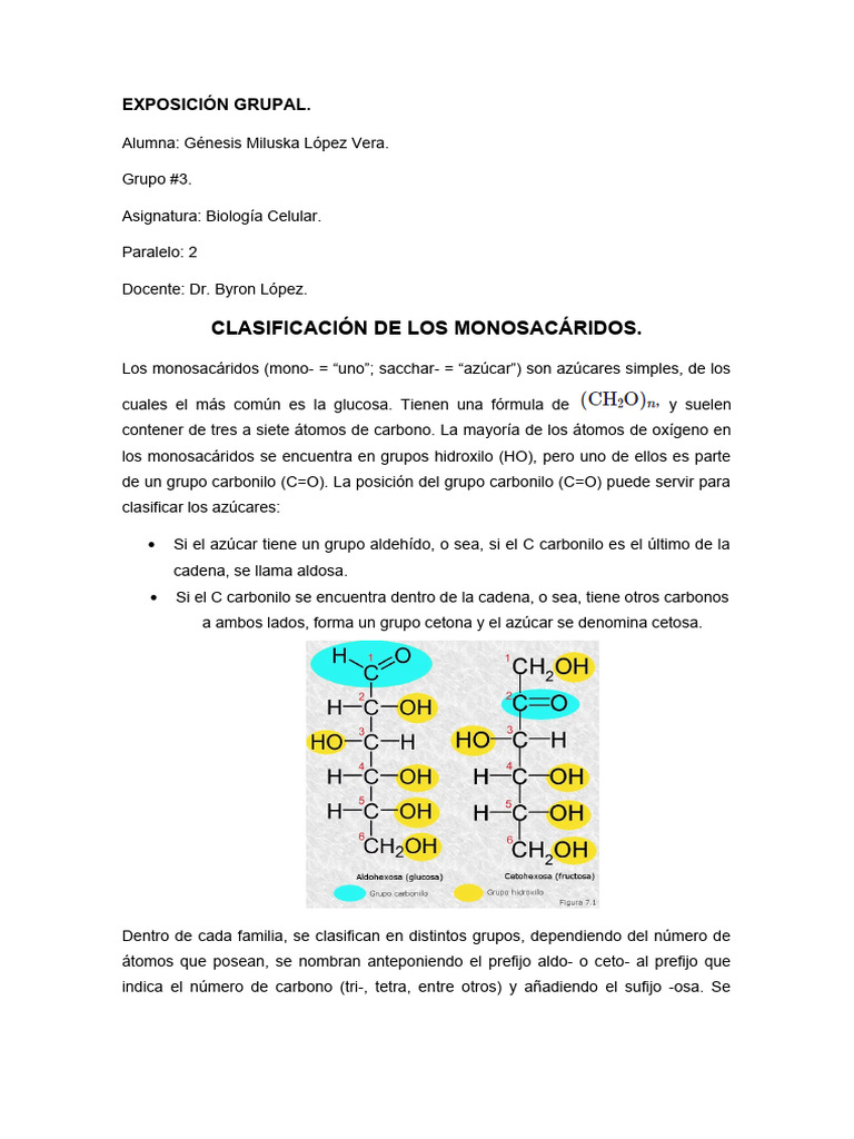 Exposición Grupal | PDF