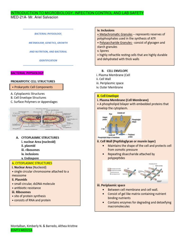 WEEK 2 LECTURE | PDF | Cell (Biology) | Bacteria WEEK 2 LECTURE | PDF | Cell (Biology) | Bacteria