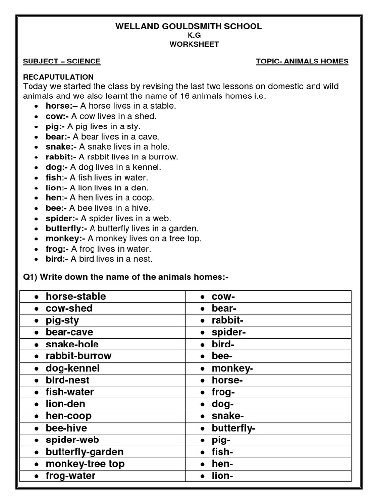 WGS Class K.G Science Worksheet | PDF