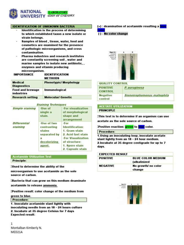 Identification of Unknown | PDF | Staining | Bacteria
