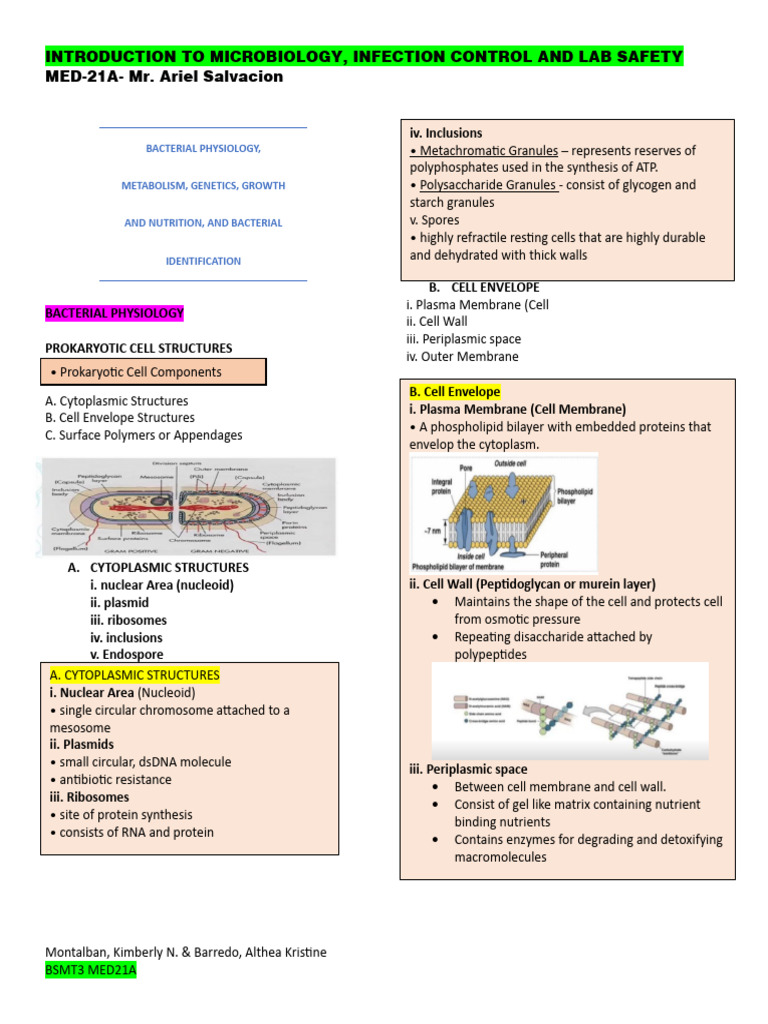 Week 1 Lecture | PDF