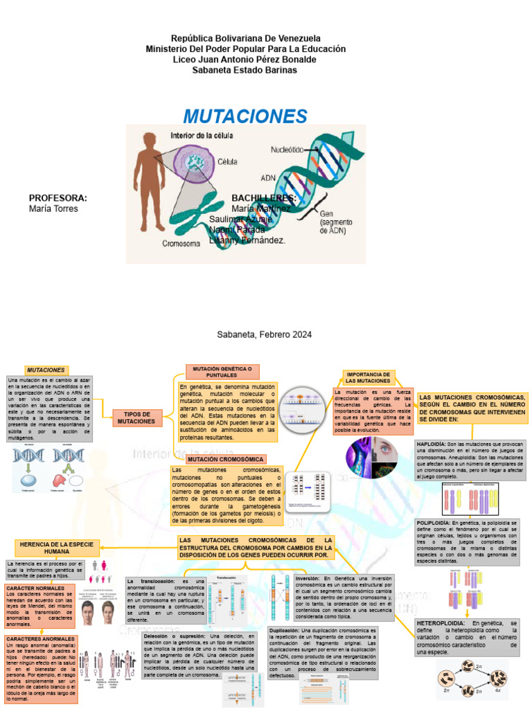 Mutaciones | PDF | Mutación | Cromosoma