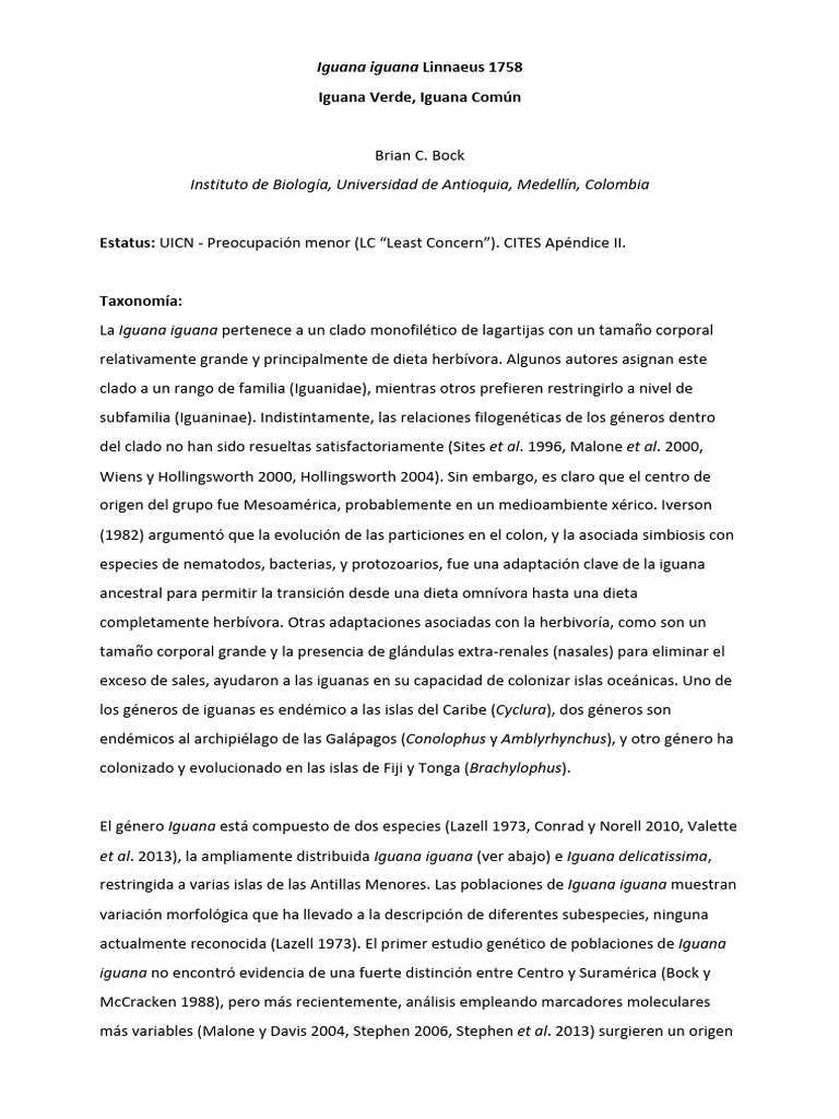 Iguana Iguana Spanish BrianBock | PDF