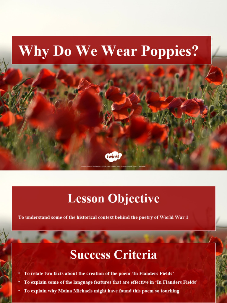 T3 E 140 Why Do We Wear Poppies PowerPoint Ver 3 | PDF | Military ...