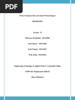 Microsoft Core Values and Culture | PDF | Career & Growth
