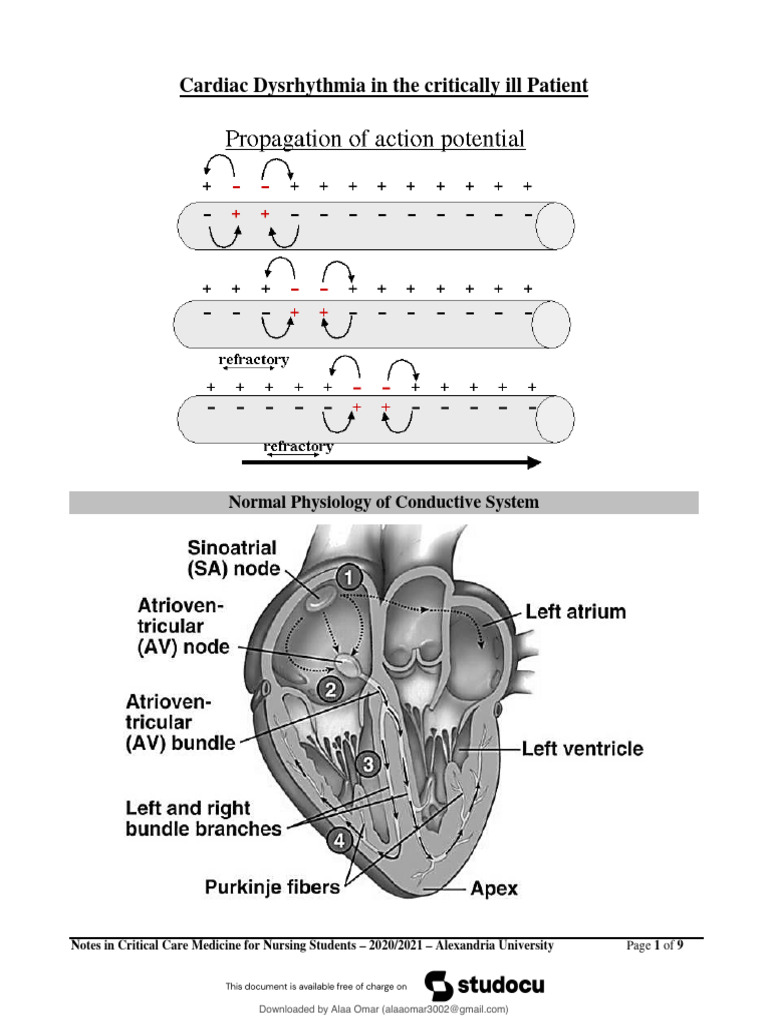 Cardiac Dysrhythmias in Critical Care | PDF | Electrocardiography ...