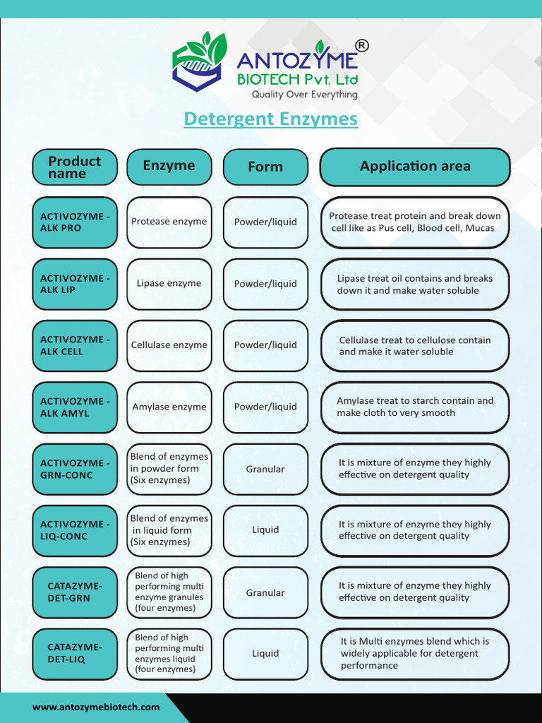 Detergent enzymes | PDF | Enzyme | Chemistry