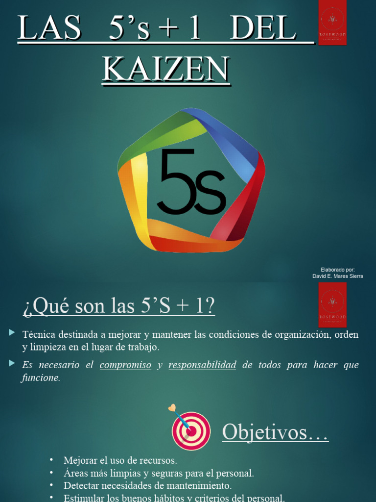 Mejora Continua con las 5’s + 1 del Kaizen | PDF | Disciplinas