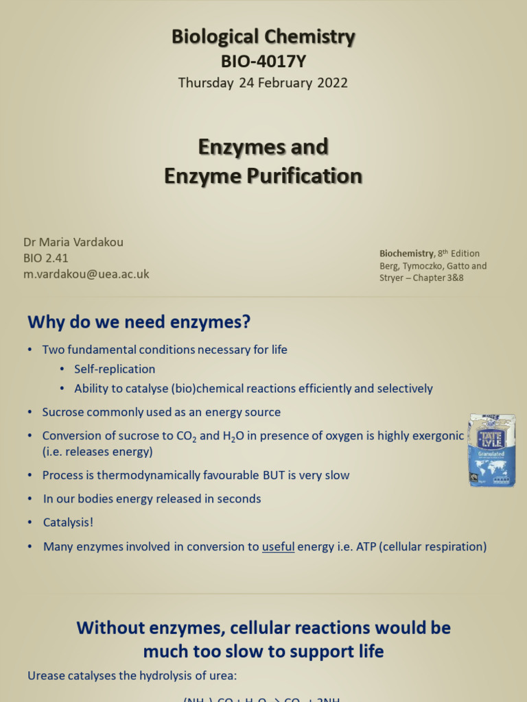 Enzymes 1 | PDF