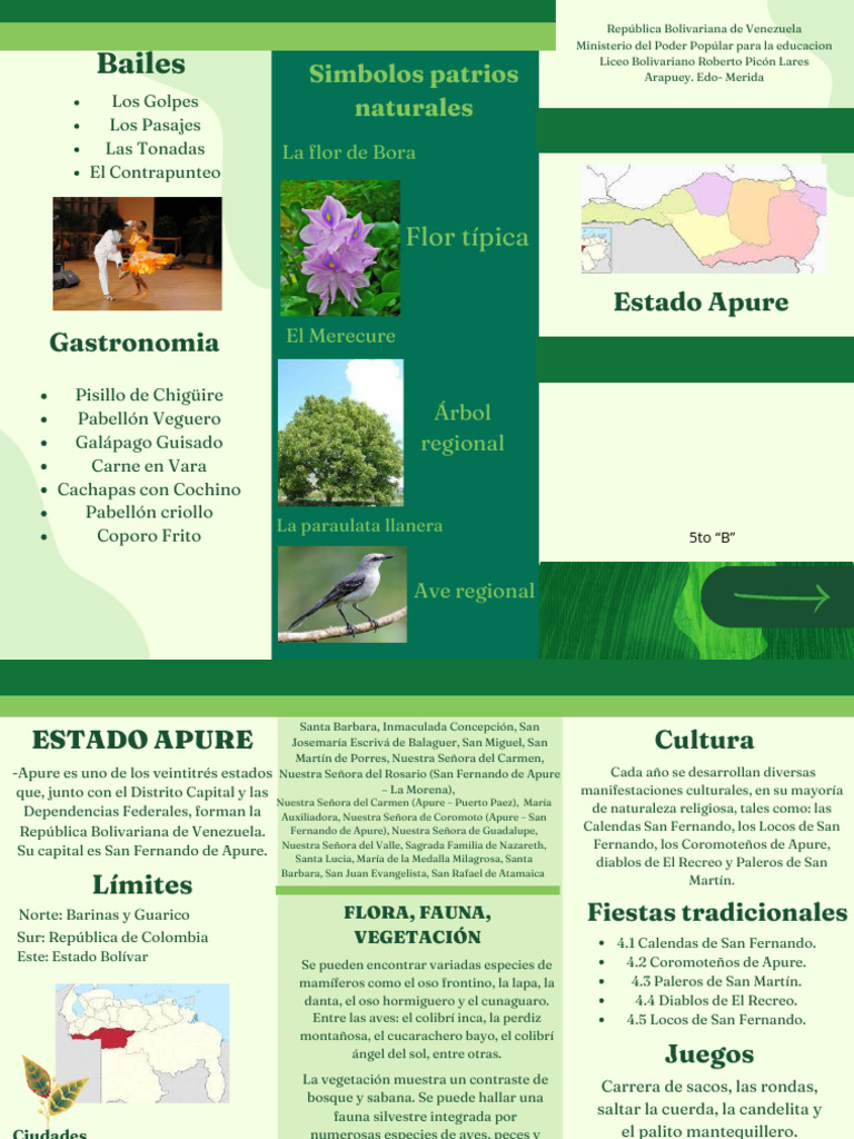 Estado Apure Triptico | PDF