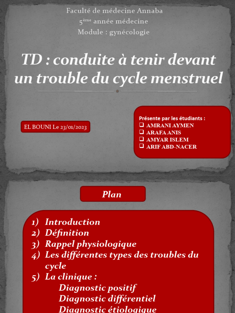 TD Cat Trouble Du Cycle | PDF