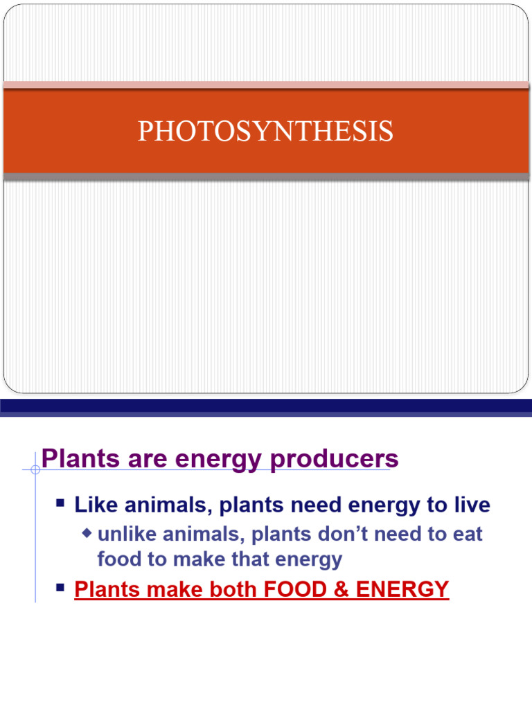Photosynthesis | PDF | Photosynthesis | Biochemistry