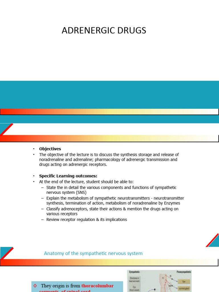 Adrenergic Drugs | PDF