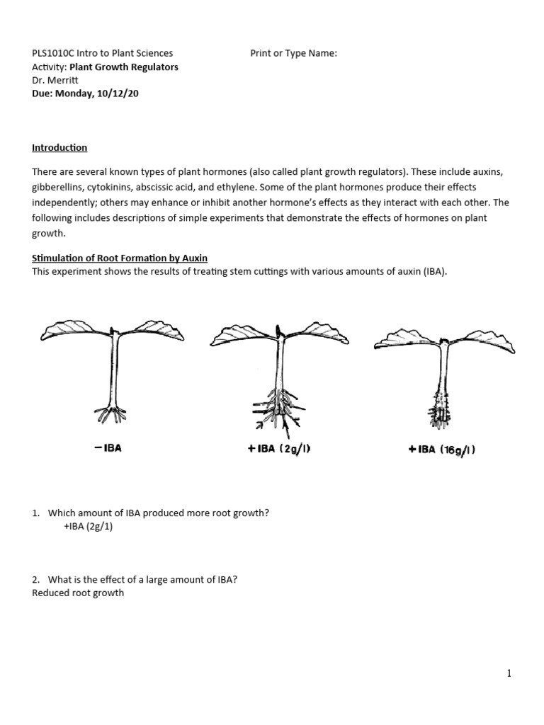 Plant Hormones and Growth Effects | PDF | Auxin | Plant Hormone