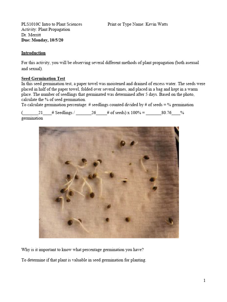 Plant Propagation Methods Explained | PDF | Home & Garden | Science ...