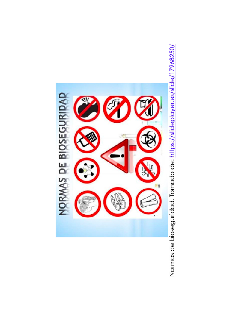 Normas de bioseguridad en laboratorio 2 | PDF