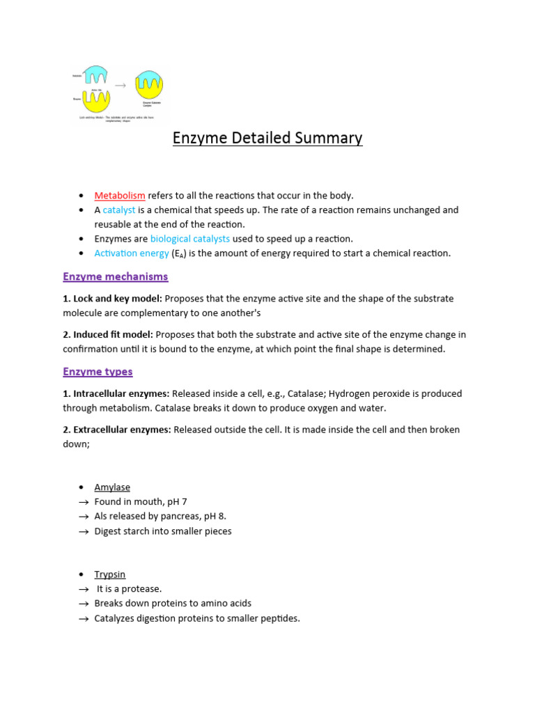 Enzyme Detailed Summary | PDF | Enzyme | Cofactor (Biochemistry)
