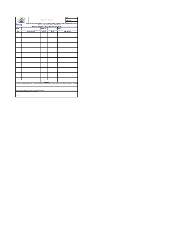 Formato Entrega Individual Epps | PDF