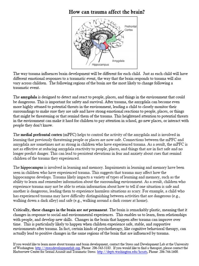 Trauma and The Brain 1 | PDF