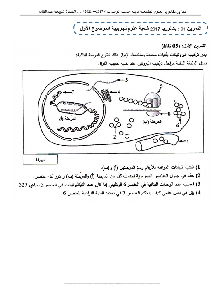 Sciences3as Bac Activities-Tarkib Proteines2017 2021 | PDF