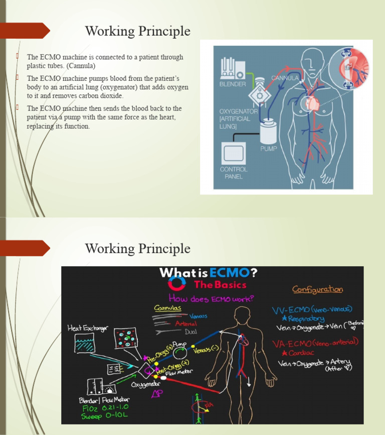 Working Principle | PDF