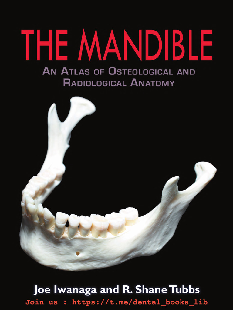 The Mandible An Atlas Of Osteological And Radiological Anatomy Pdf