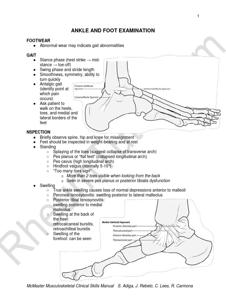 MSK Clin Skills Ankle+Foot | PDF | Ankle | Foot