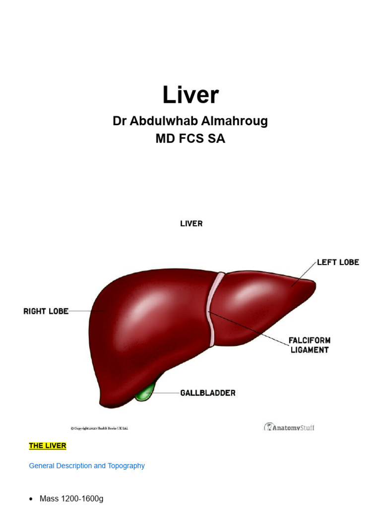 Liver 5th | PDF | Liver | Vein