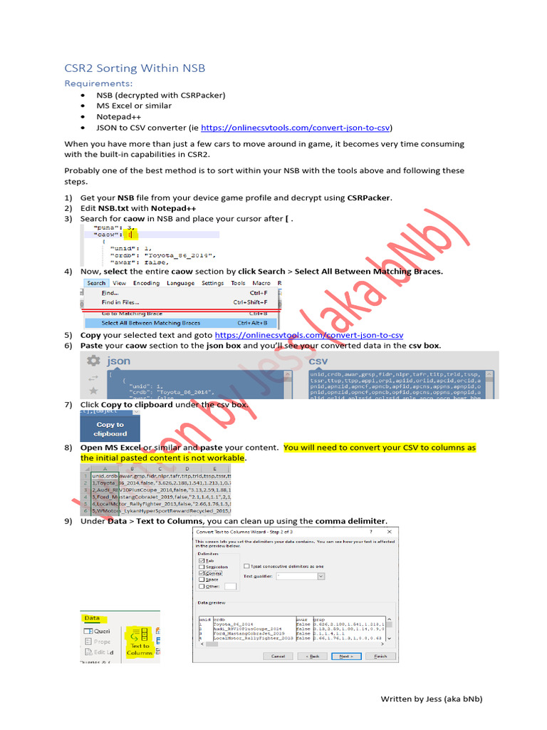 CSR2_Sorting_Within_NSB_v1.1 | PDF