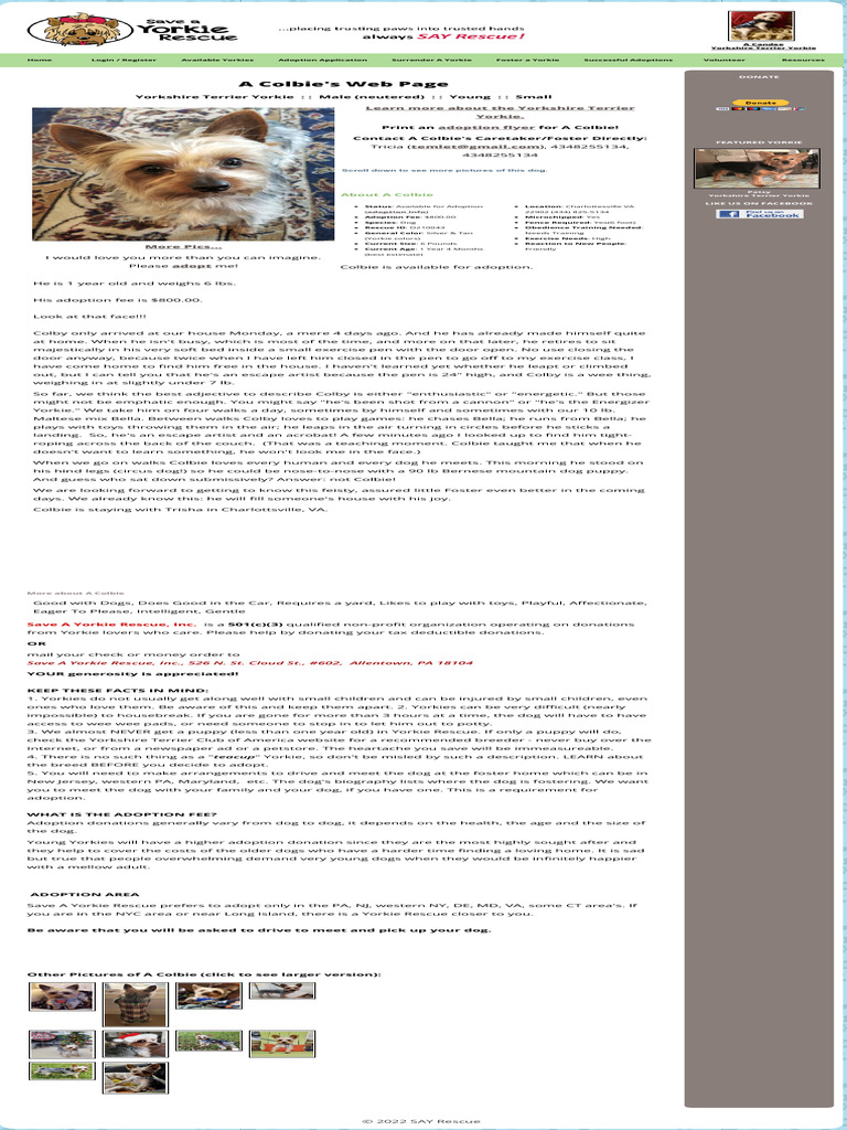 A Colbie's Web Page | PDF