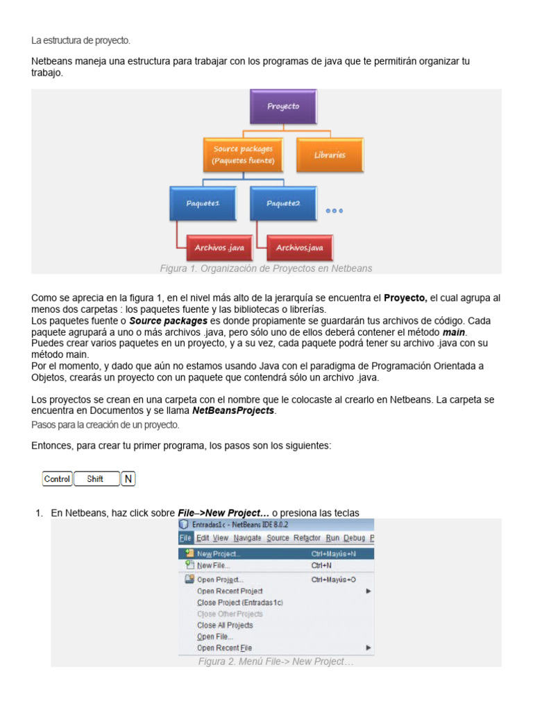 La Estructura de Proyecto | PDF | Entorno de desarrollo integrado ...
