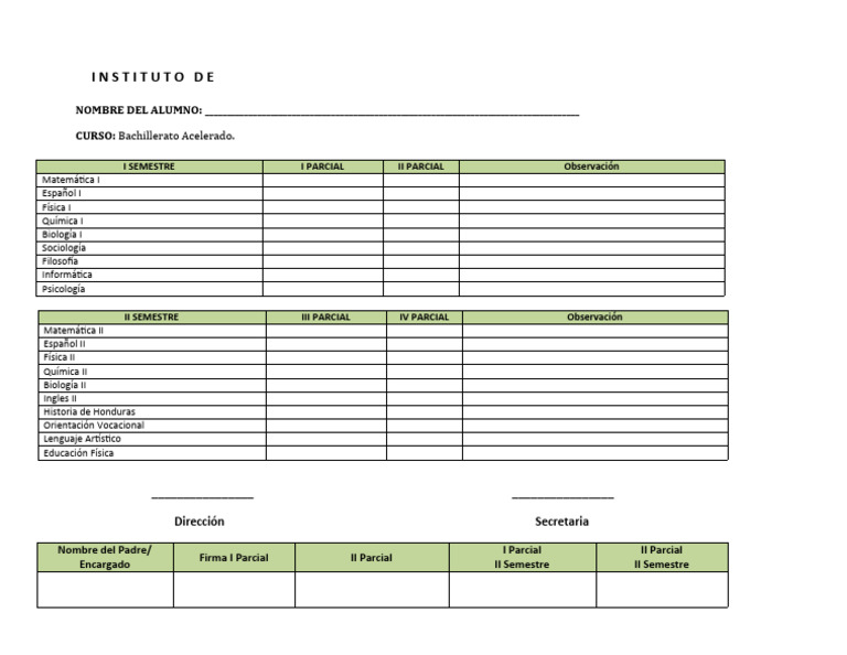 Formato BCH Acelerado | PDF