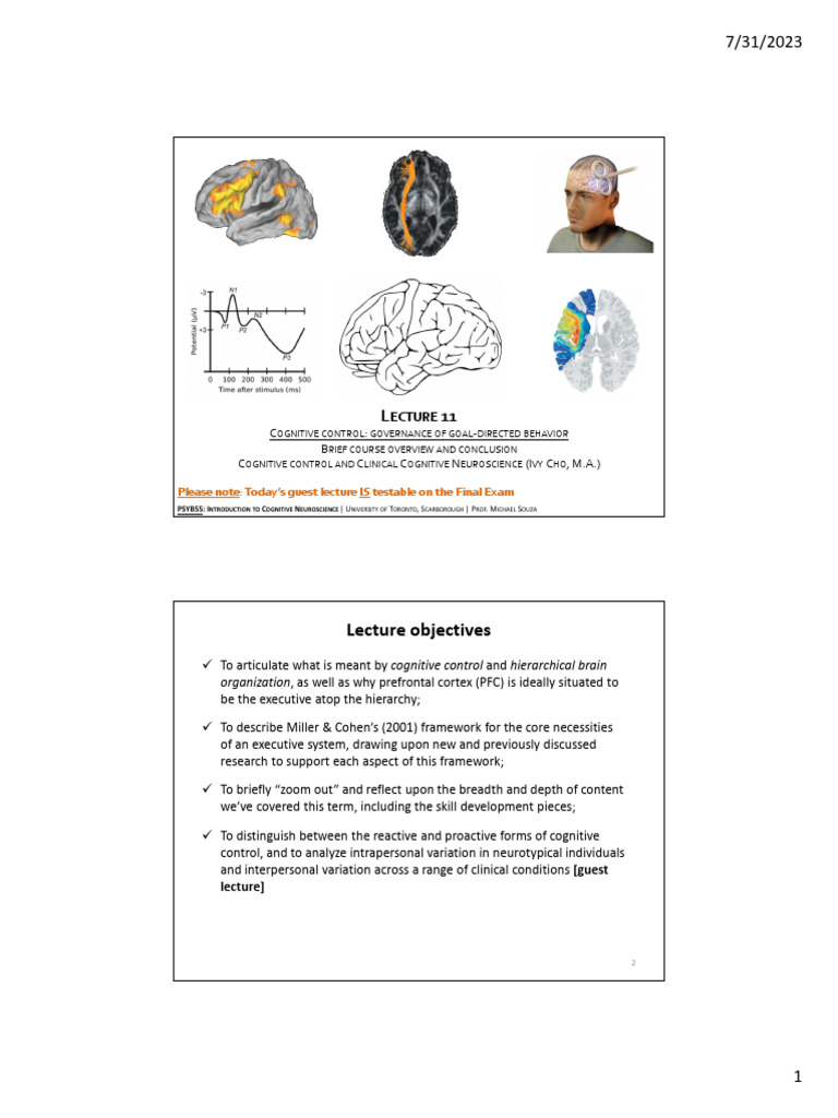 Cognitive Control in Neuroscience | PDF | Executive Functions | Prefrontal Cortex