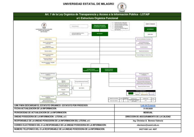 Literal A1 Estructura Orgánica Funcional | PDF